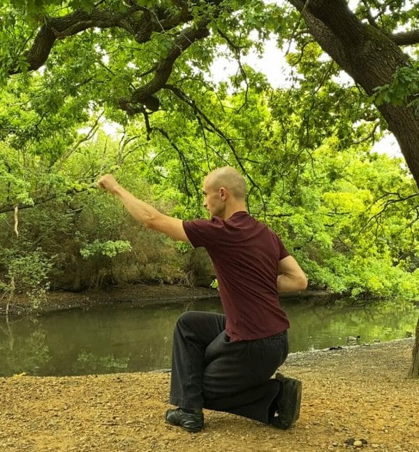 Wu Bu – Five Stances Form – Tai Chi Kitchen