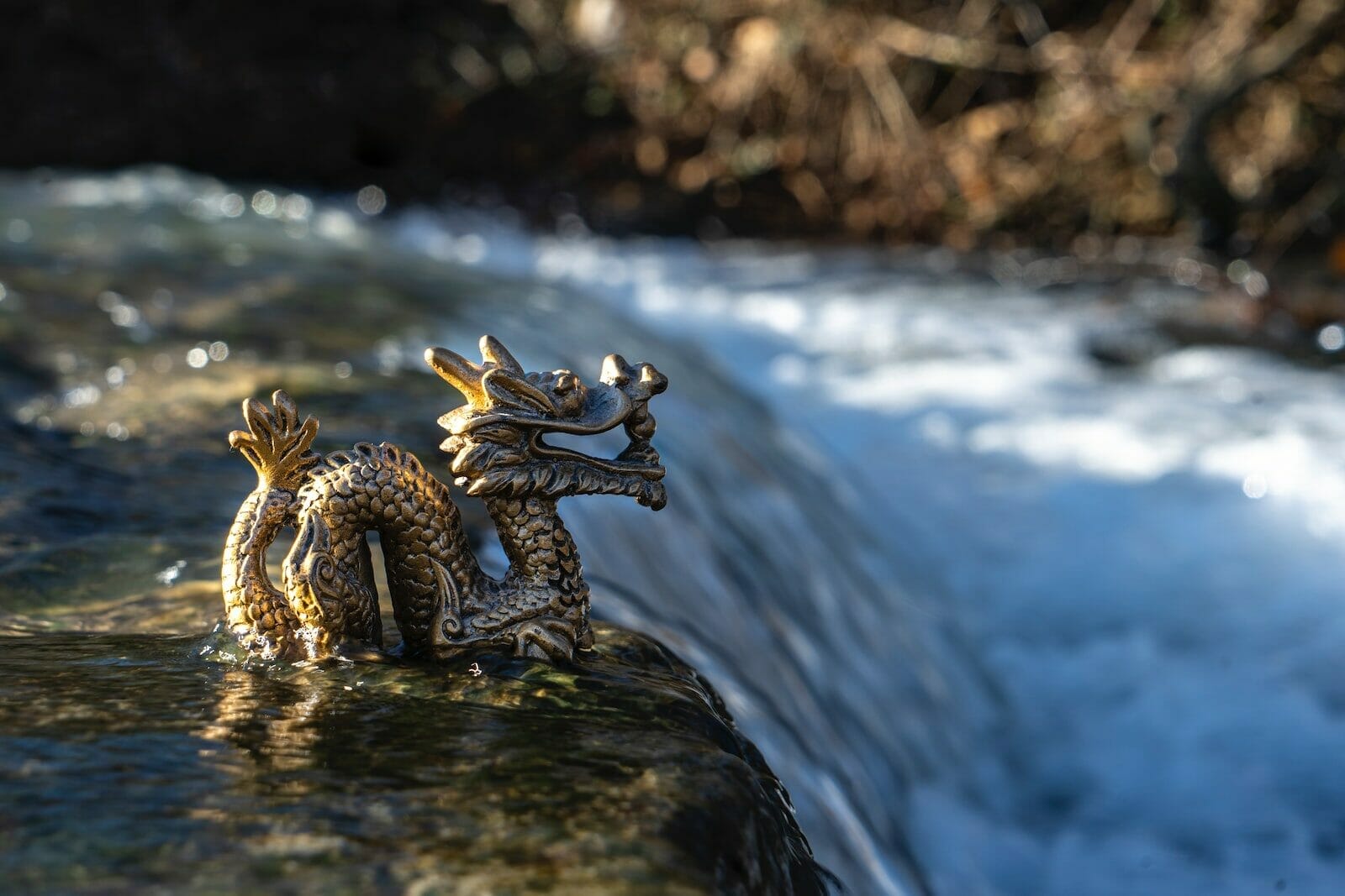 Swimming Dragon – Tai Chi Kitchen